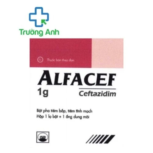 Alfacef 1g Pymepharco - Thuốc điều trị nhiễm khuẩn nặng