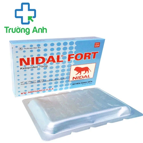 NIDAL FORT - Thuốc điều trị viêm khớp hiệu quả